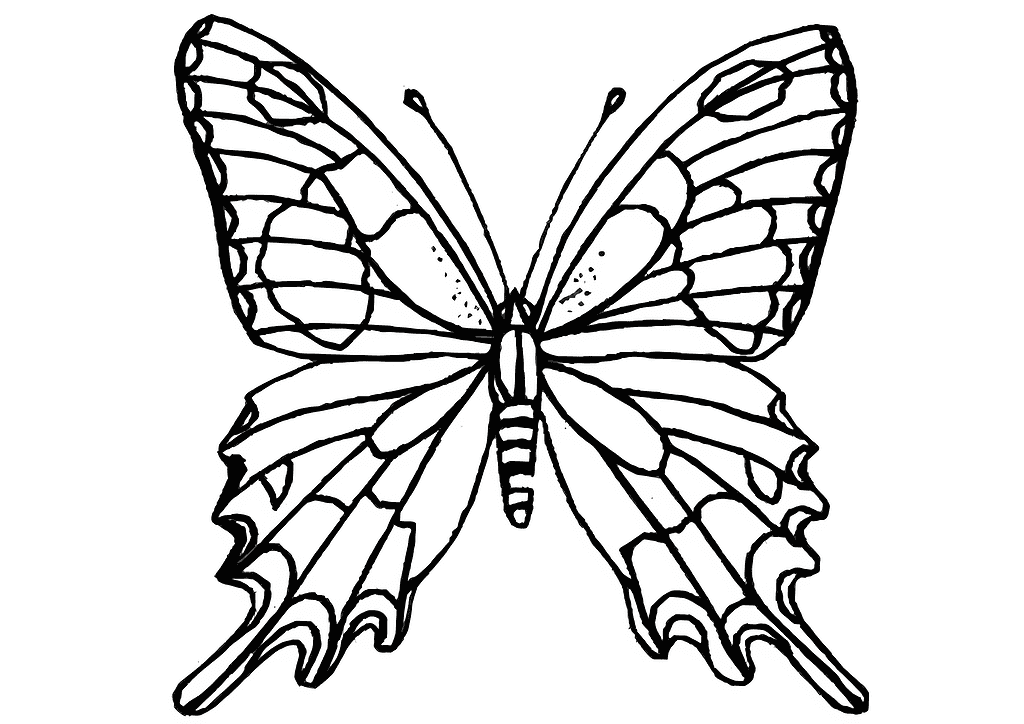 Cute Butterfly Coloring Page