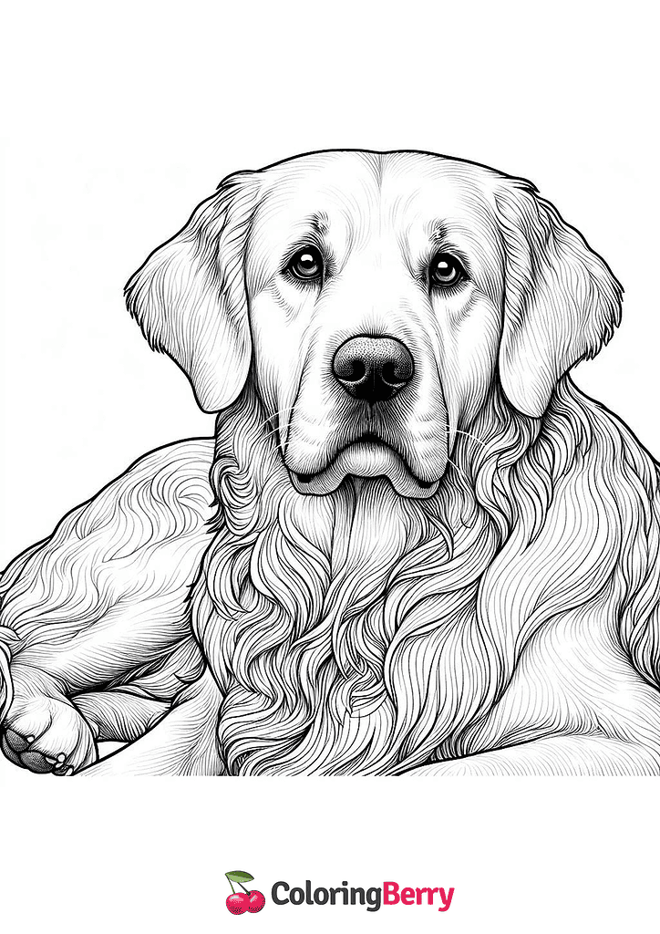 Realistic Golden Retriever Dog Coloring Page (Free PDF Printable)